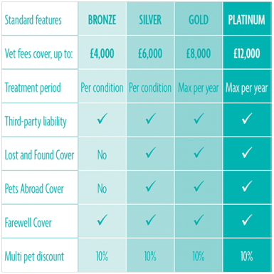 Pet Insurance from Covea Insurance plc | RSPCA