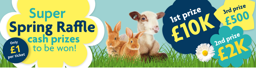 RSPCA charity raffle | RSPCA
