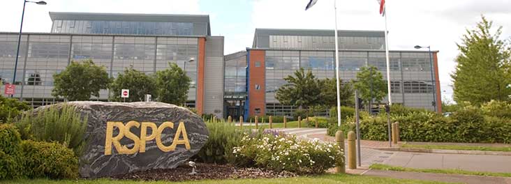 Our executive team | RSPCA